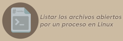 Cómo listar los archivos abiertos por un proceso en Linux - Vozidea.com